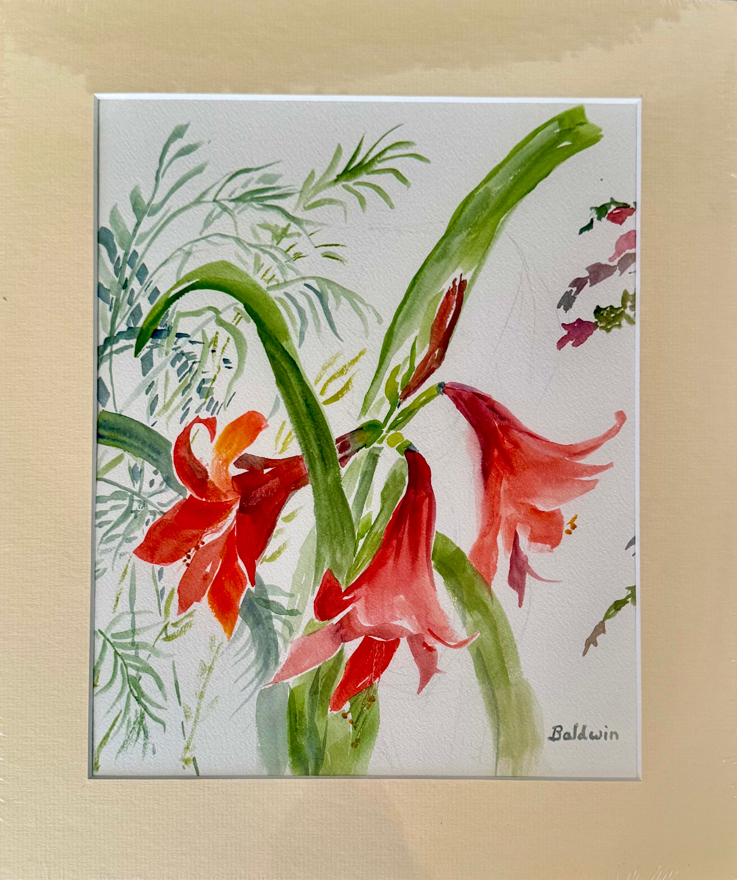 Red Drooping Lily – Napier Frames